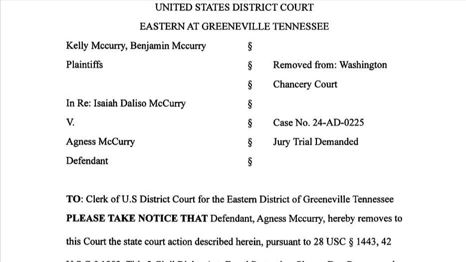 Petition · Amend TN Code § 36-1-116 to Preserve Court Jurisdiction in ...
