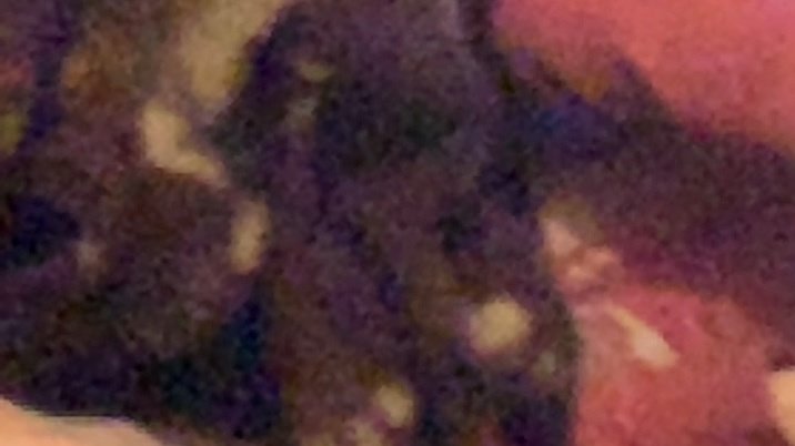 Petition · timi harris turn kyle kimes into a frog - United States ...