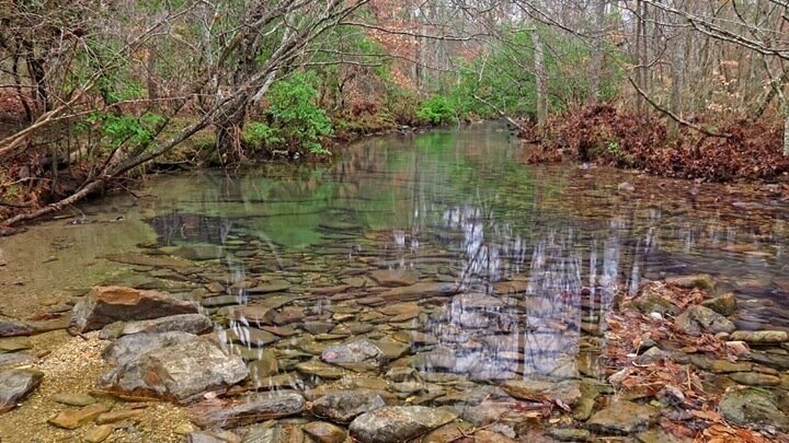 Petition · Stop The Stamp Creek Quarry - United States · Change.org