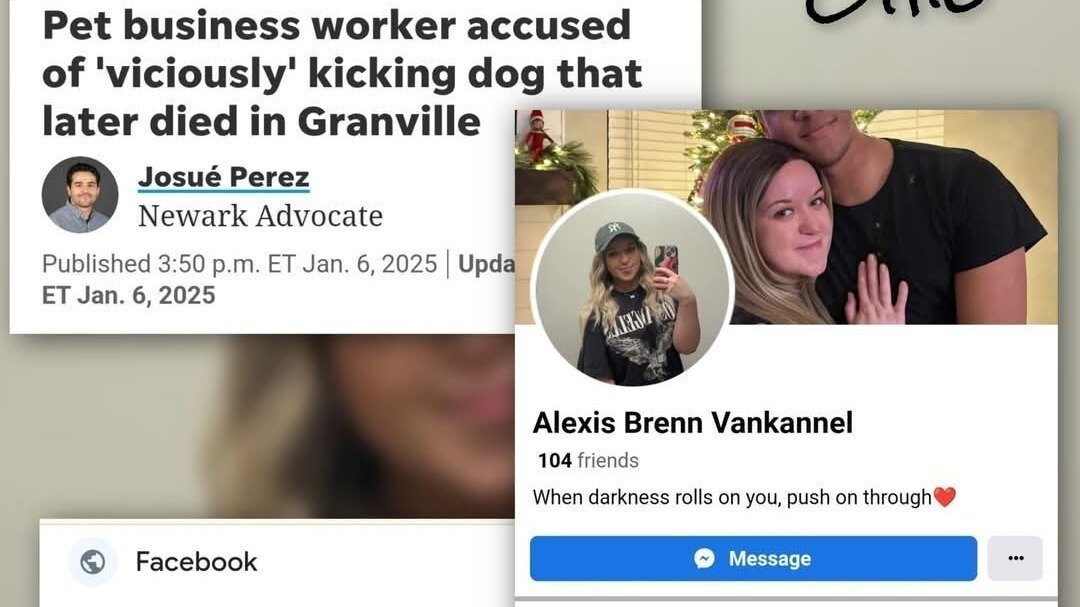 Petition · 2024 CR 00816 - STATE OF OHIO vs. ALEXIS B VANKANNEL ...