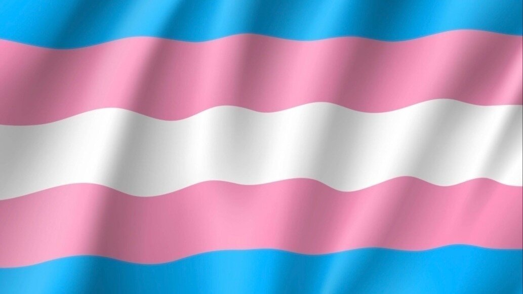 Petition · CLOSED AS AIMS CHANGED Stop the women's institute from ...