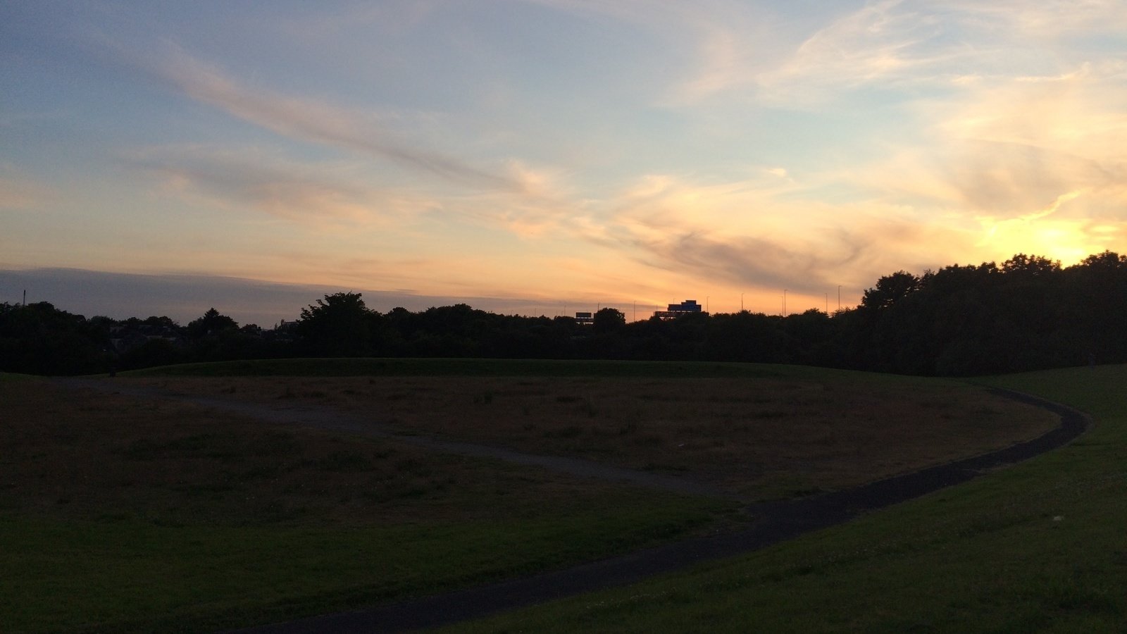 Petition · Prevention of proposed development in Carmyle’s largest park ...