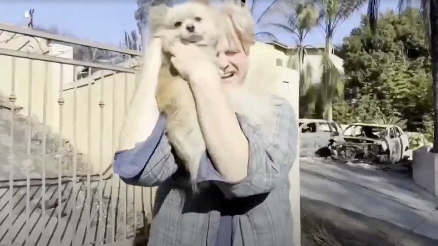 Petition · California, Support Legislation to Protect Pets in Disasters ...