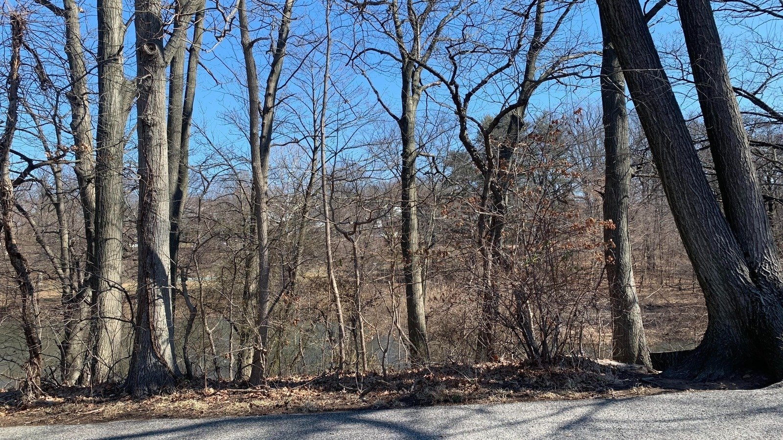 Petition · Benches for Brooks Pond Park - United States · Change.org