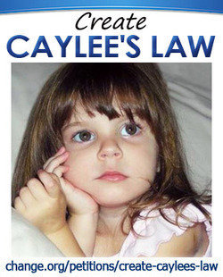 Petition · Caylee Marie Anthony's LAW BRING TO ILLINOIS!!!!! - United ...