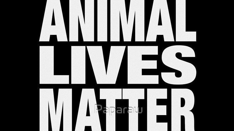 Petition update · Lets make a change. Animal lives matter · Change.org ...