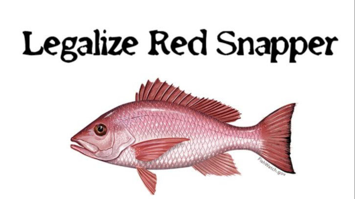 Petition · Legalize Red Snapper in South Atlantic Region, Request ...