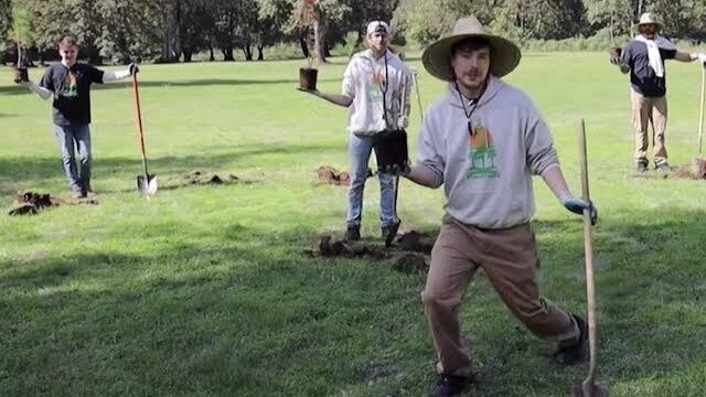 Petition · Stop Deforestation, help us plant more Trees! (Advocacy ...