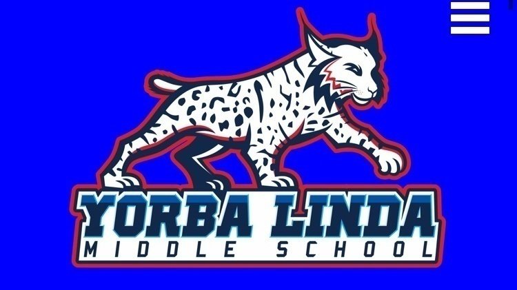 Petition · Go back to ylms - United States · Change.org