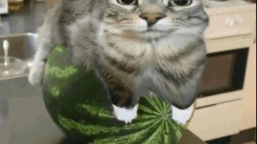 Petition · Demote and Ban Ciel from the Oringo Client Discord or revoke ...