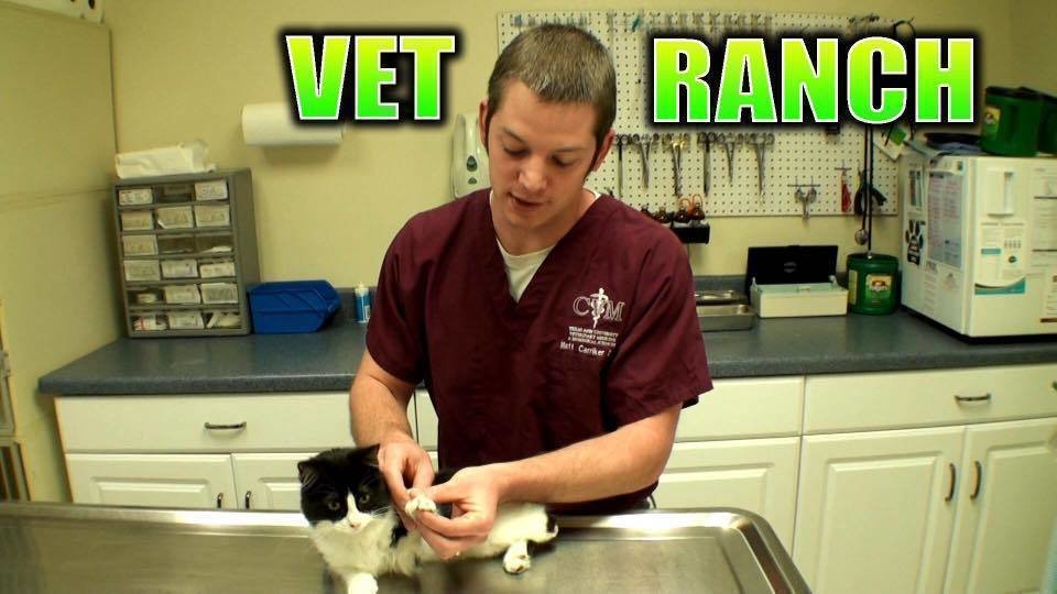 Petition · Allow Vet Ranch to show surgery videos on YouTube without ...