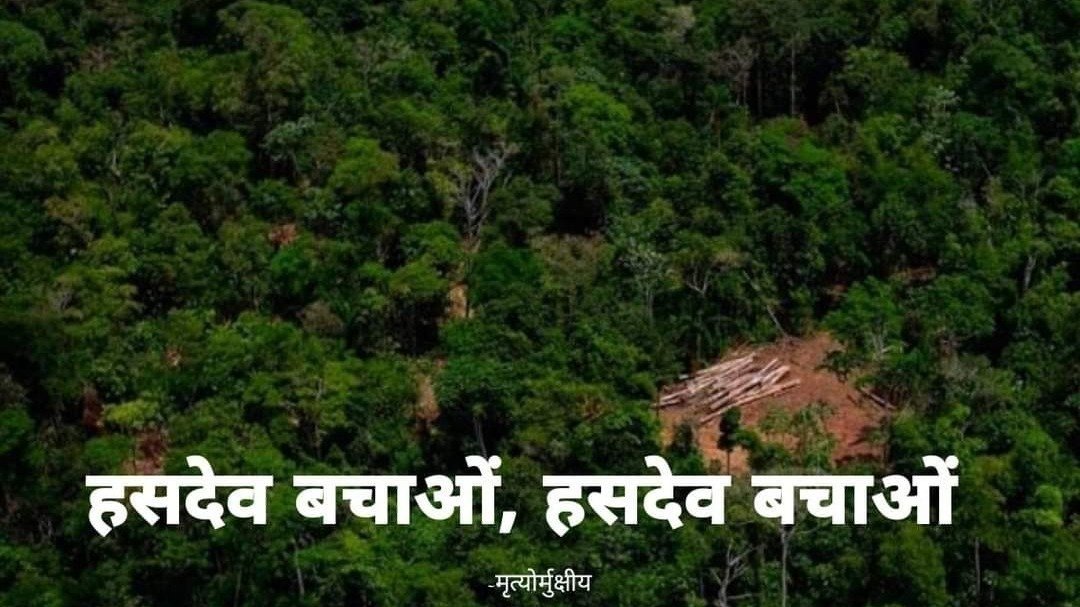 Petition · Save Husdev Jungle - India · Change.org