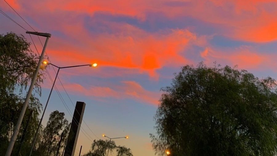 Petition · Petition to bring Parker home - United States · Change.org