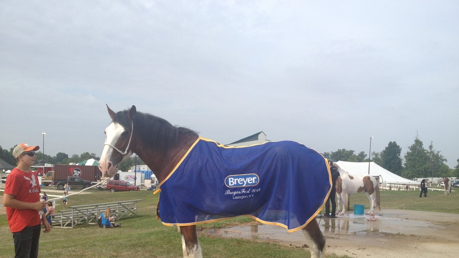 Petition · Move Breyerfest To The Alltech Arena! - United States ...