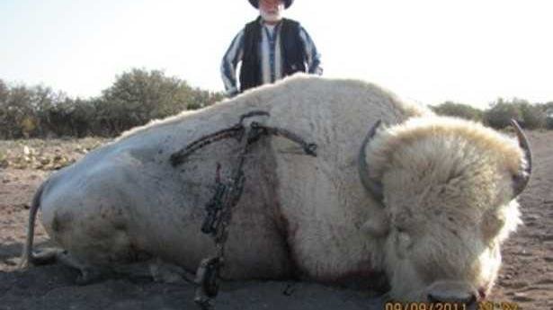 Petition · Protect the Sacred White Buffalo! Create a White Buffalo ...