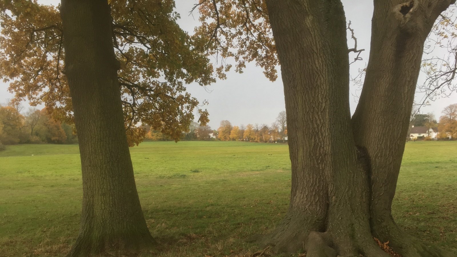 Petition · Stop the partition of Bushey Manor Field - United Kingdom ...