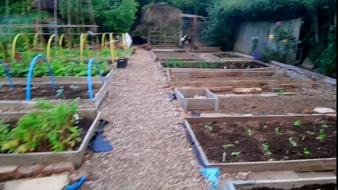 Petition · Save Dave and Tracey's Allotment - United Kingdom · Change.org