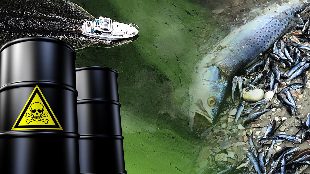 Petition · Stop The State-Sanctioned Poisoning Of Our Lakes And Rivers ...