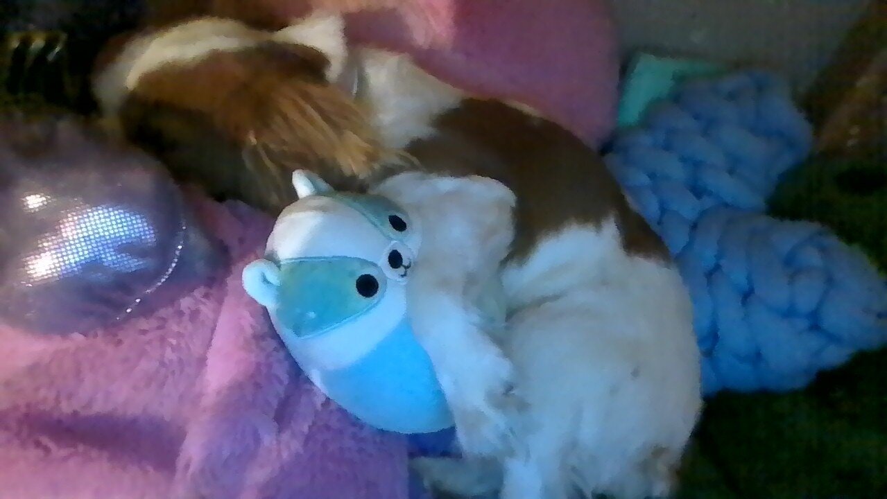 Petition · Stop Blocking Games - United States · Change.org