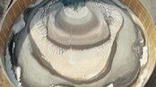 Petition · SAY NO TO DAF PROCESSING!!! - United States · Change.org
