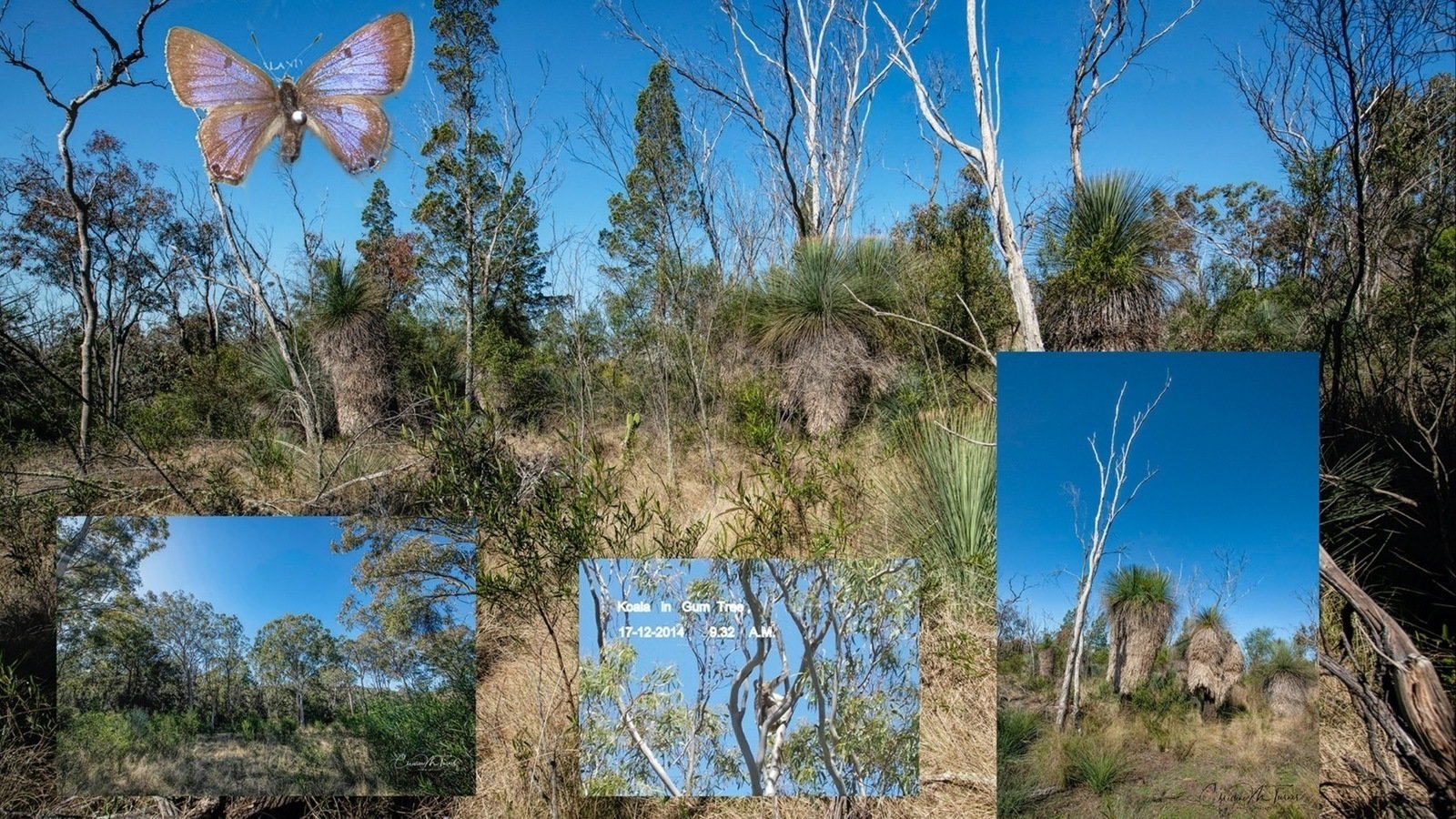 Petition · Protect Domville State Forest from Quarry Before It Is Too ...