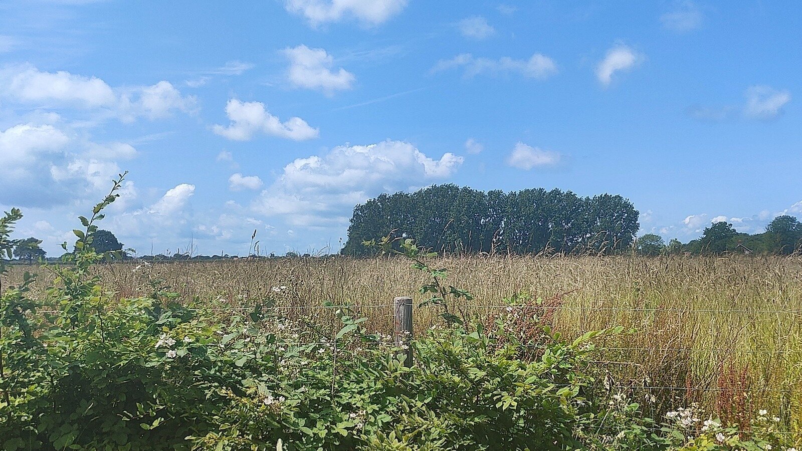 Petition · Stop Development at Southleigh to Preserve Our Wildlife ...