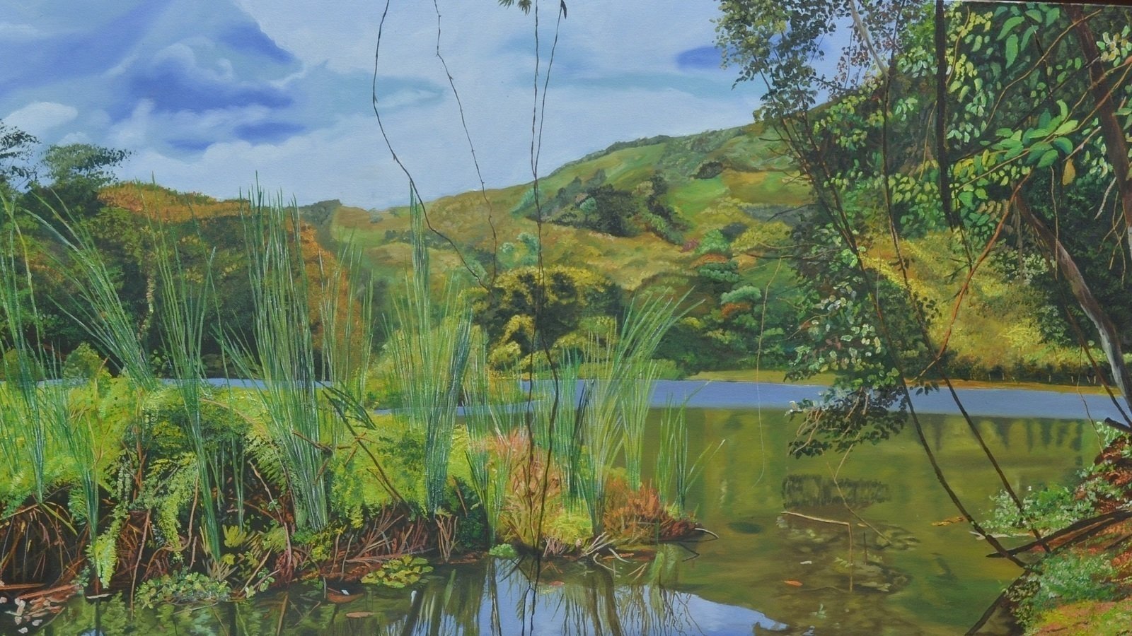 Petición · Proteger y conservar el Agua y la vida en los páramos ...