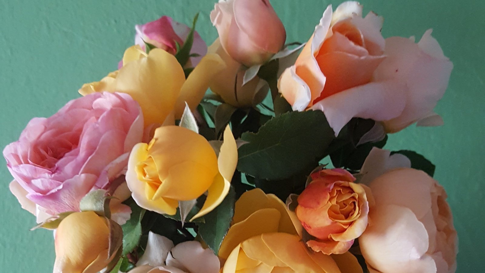 Petition · Make Country of Origin Labelling mandatory for imported Cut ...