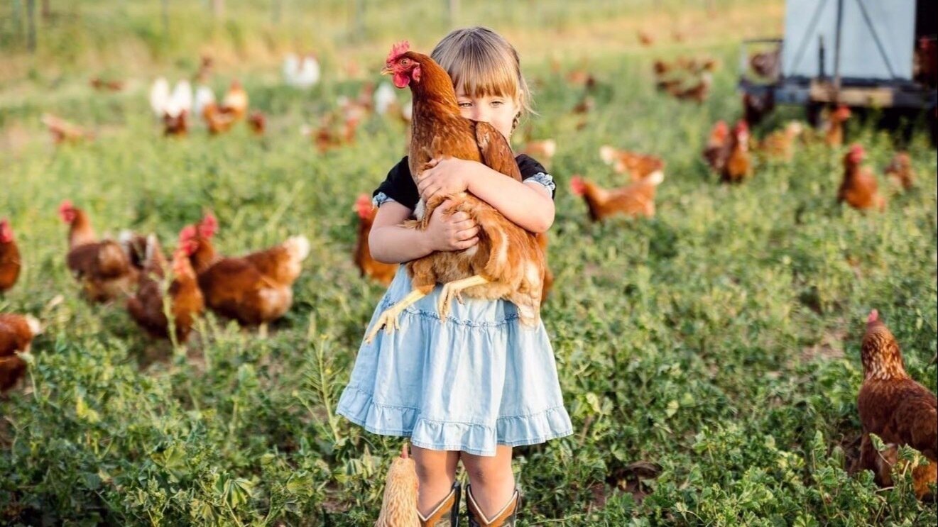 Petition · Protect Rights to Keep Family Chickens - Waukon, United ...