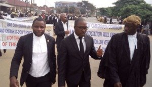 Petition · Free Lawyer Felix Agbor-Balla & Dr. Fontem Aforteka’a Neba ...