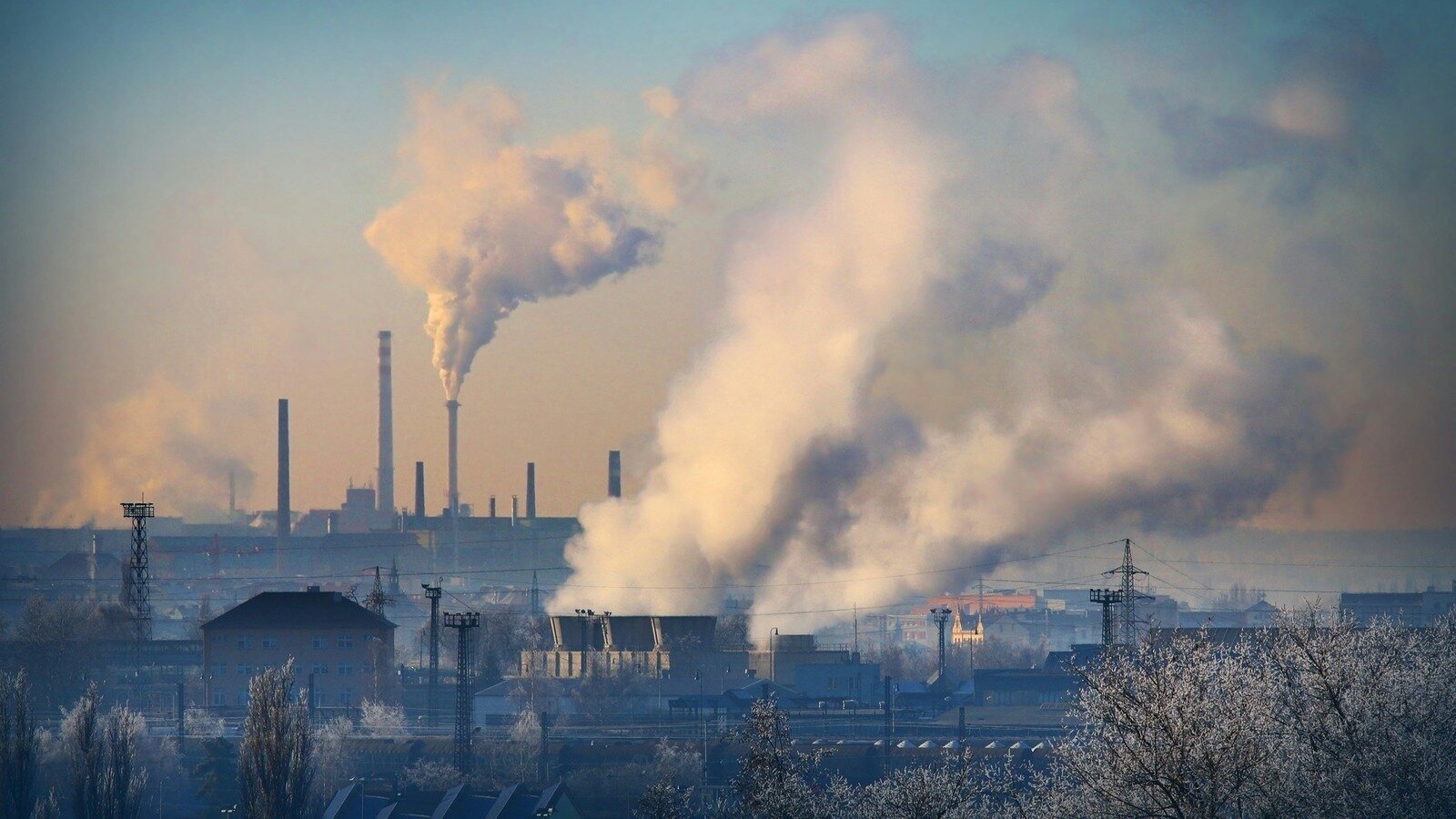 Petition · Half of Americans Are Breathing Unsafe Air: Restore EPA ...