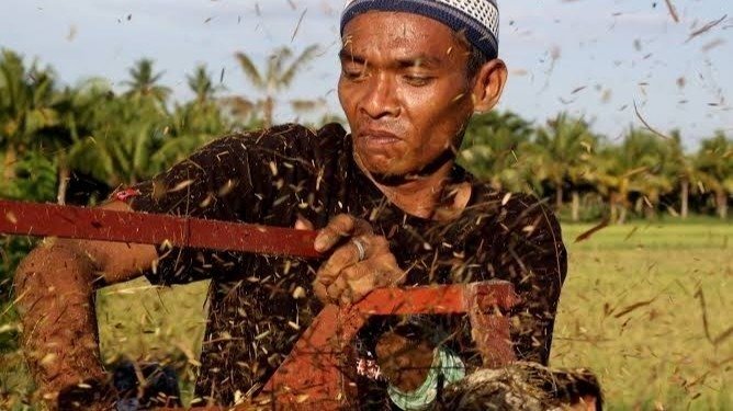 Petition · Giving Financial Support to all the Farmers in the ...