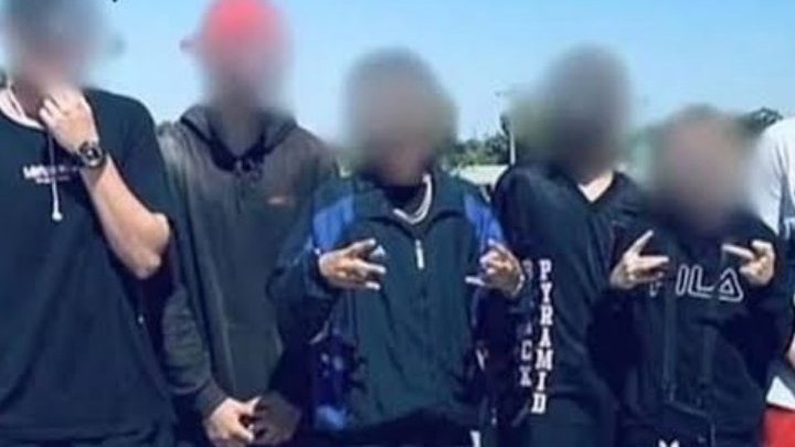 Petition · Move all eshays to special ed schools - Australia · Change.org