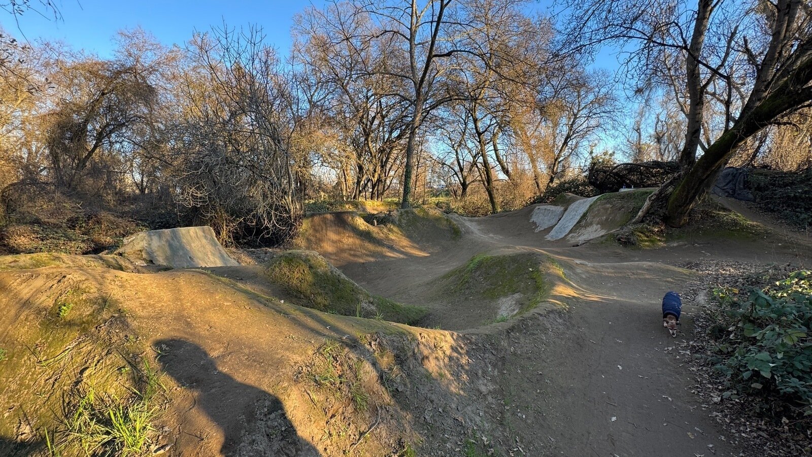 Petition · Save Bees Lake BMX Park from Demolition - West Sacramento ...