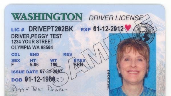 Petition · Remove the Restriction on Driver's License Due to Child ...