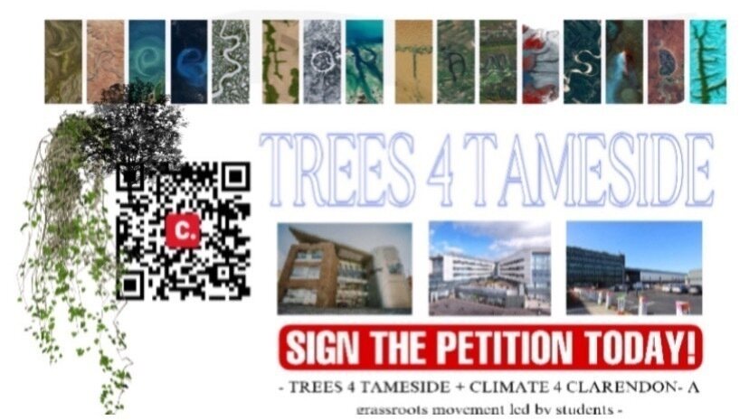 Petition · Plant More Trees And Green Spaces at Clarendon / Tameside ...
