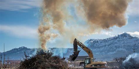 Petition · "stop open burning" - Malaysia · Change.org
