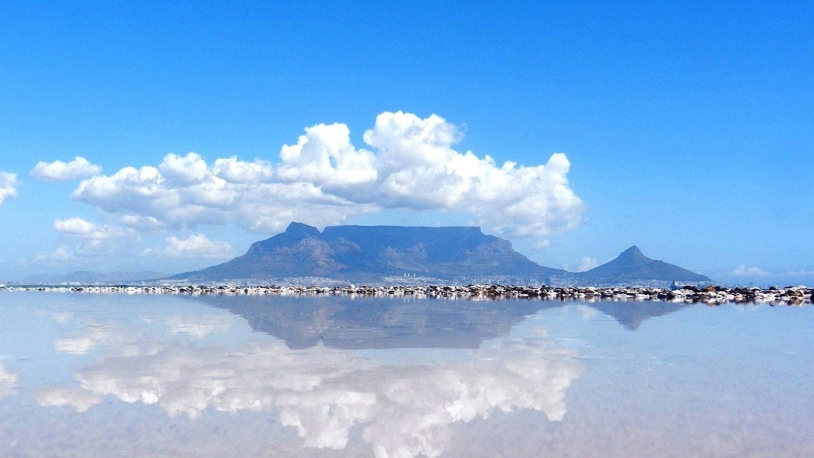 Petition · CoCT: Please include wards 4, 23, 55, 113 and 107 in sub ...