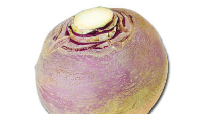 Petition · Facebook : Bring Back Sweed Heed · Change.org