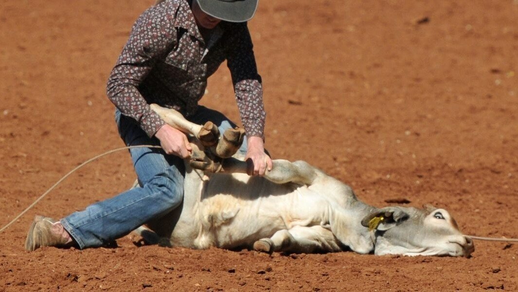 Petition · Ban Rodeos in Aotearoa, for Animal Welfare - New Zealand ...