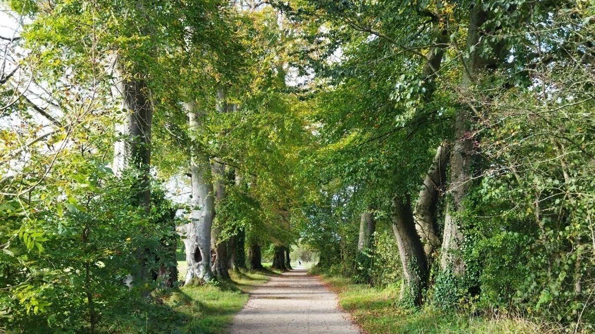 Petition · Save Plassey (UL) Riverbank Walk - Ireland · Change.org