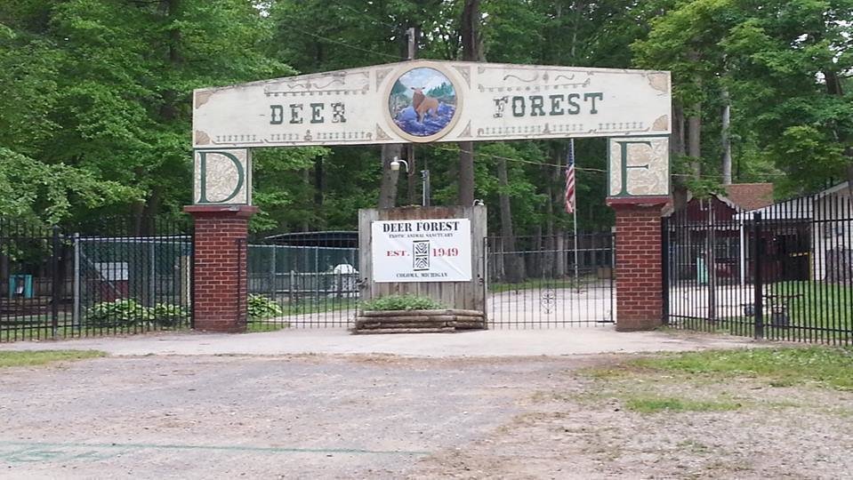 Petition · Do not consider the Petition to revoke the grandfather ...