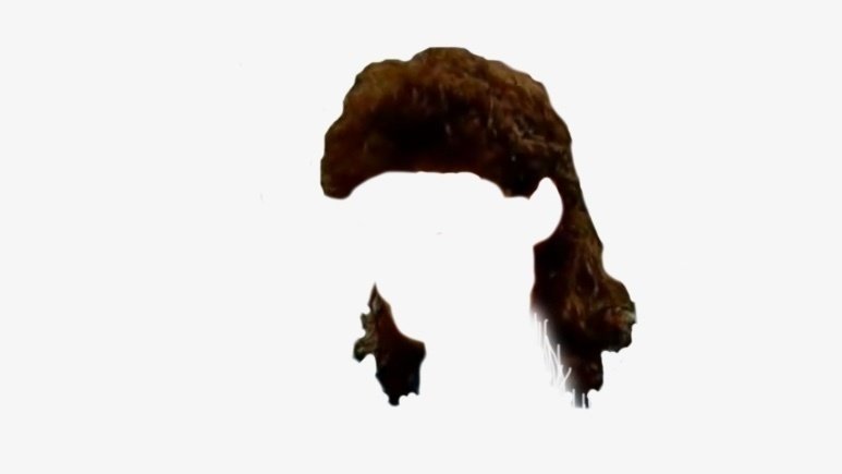 Petition · Mullet for Joey - Ireland · Change.org