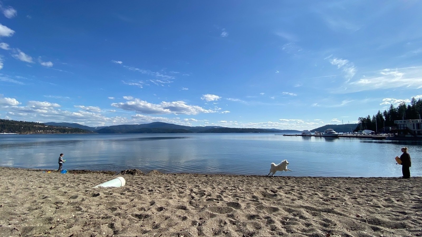 Petition · Say no to Thomas George Condos in CDA - United States ...