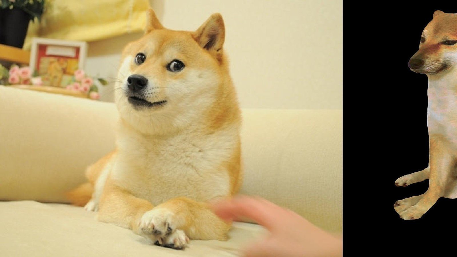 Petition · Arrange a meeting between Balltze, Kabosu, and Nelson ...