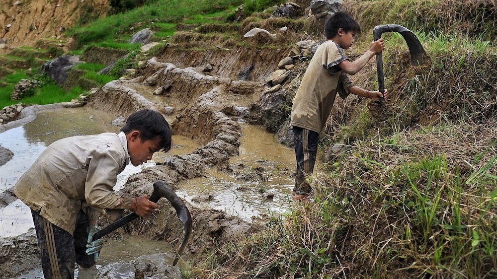 Petition · End child labour - Australia · Change.org