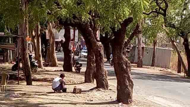 Petition · chipkoo movement in Washim, civil lines - India · Change.org