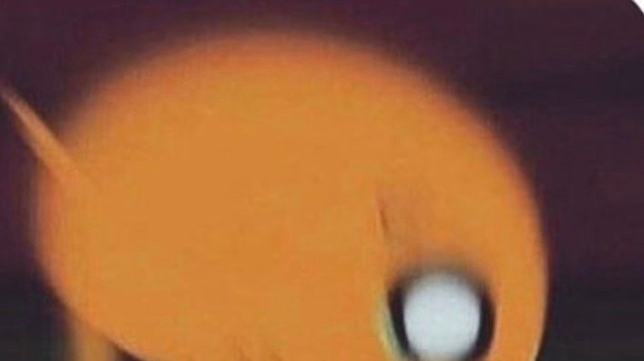 Petition · Have Bernard go to the hospital - United States · Change.org