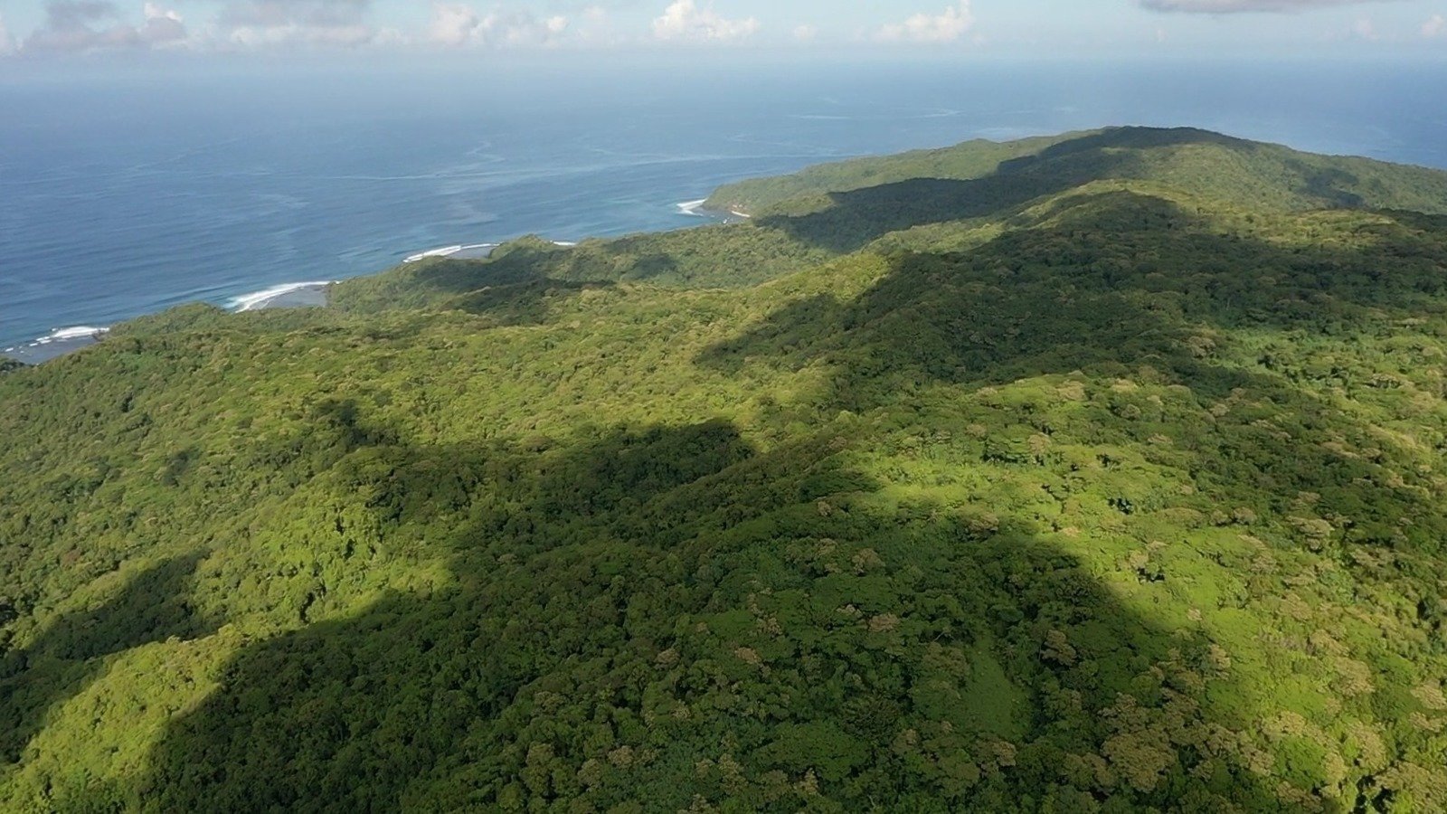 Petition · Stop a wind farm from destroying a rain forest in American ...