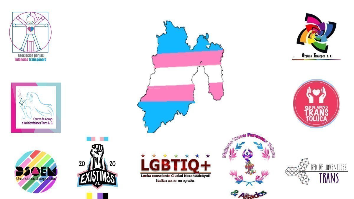 Petición · Candidatas al gobierno del EDOMEX: Exigimos acciones a favor ...